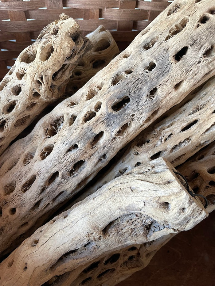 Driftwood For Aquarium Cholla Cactus Skeleton Craft Wood Kit By ...